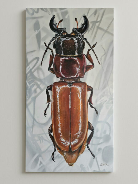 Odeith Art Prints | Shop 3D Graffiti & Street Art Prints - Canvas